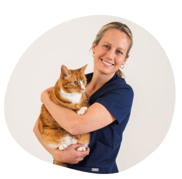 VetChat - Chat with a Vet Online 24/7 - Speak to a Vet Now